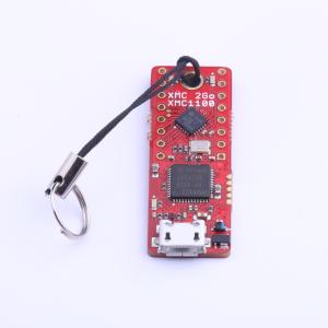 KIT_XMC_2GO_XMC1100_V1中文资料_最新报价_数据手册下载_Infineon(英飞凌)-开发板-立创商城