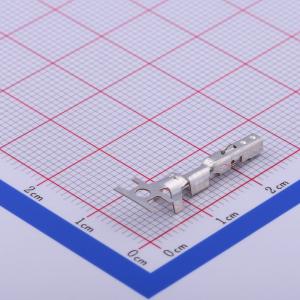 12191819中文资料_最新报价_数据手册下载_Aptiv(Delphi)-胶壳端子-立创商城