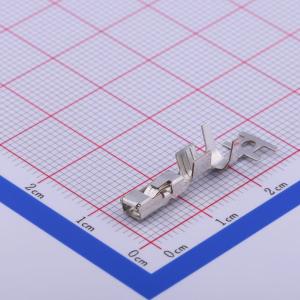 15304720中文资料_最新报价_数据手册下载_Aptiv(Delphi)-胶壳端子-立创商城